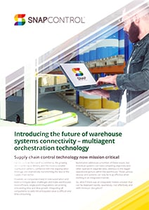 Multiagent Orchestration | Future of Warehouse Systems Connectivity